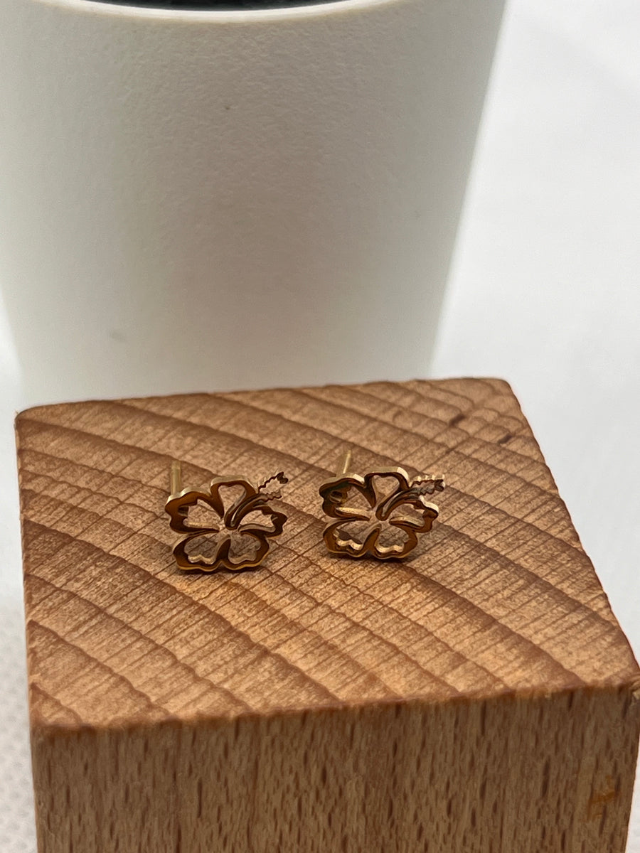 Natalie’s Maga stud gold – Boricua Brava